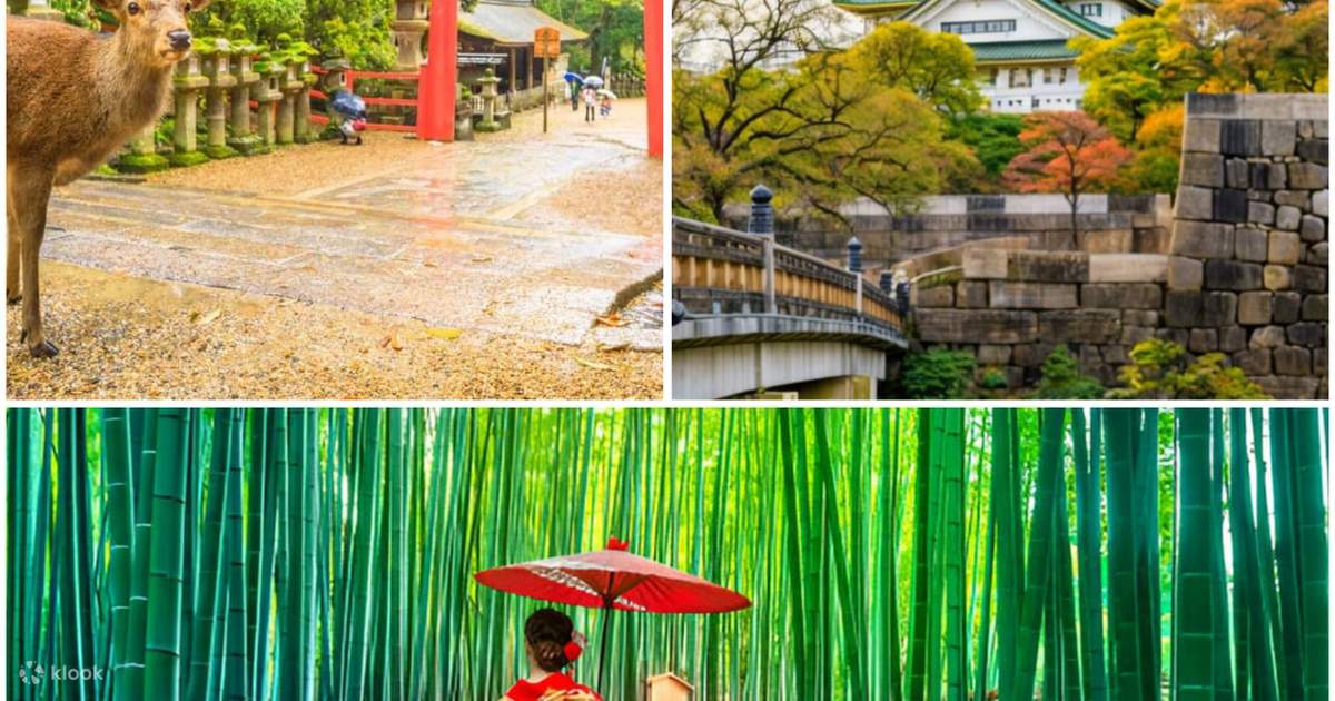 Osaka, Kyoto and Nara 3-Day Private Trip - Klook